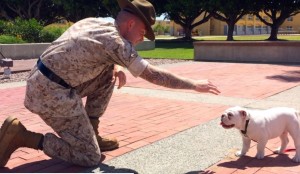 Meet Private Smedley Butler : This ain't Hell, but you can see it from here