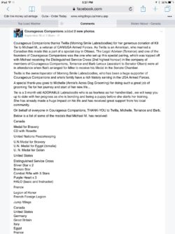 Michael McNaught, Canadian fraud : This ain't Hell, but you can see it ...