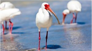 Weekend Open Thread : This ain't Hell, but you can see it from here