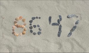 James Comey posts image of shell formation reading ‘8647’ : This ain't ...